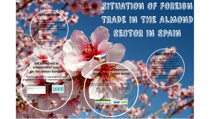 SITUATION OF FOREIGN TRADE IN THE ALMOND SECTOR IN SPAIN by Sara Alonso ...