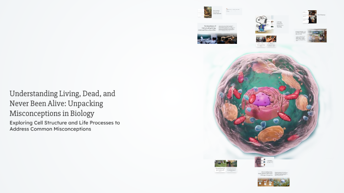 Understanding Living, Dead, and Never Been Alive: Unpacking ...