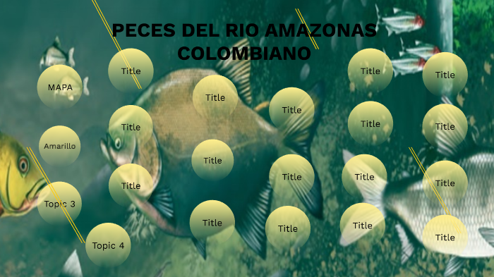 PECES DEL AMAZONAS COLOMBIANO by diana moreno on Prezi