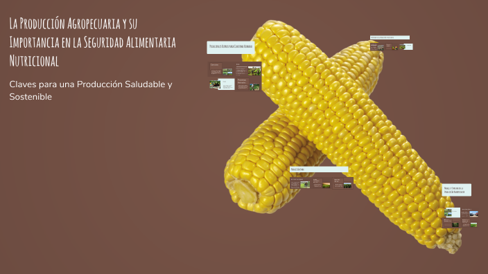La Producción Agropecuaria y su Importancia en la Seguridad Alimentaria Nutricional by LUIS ...