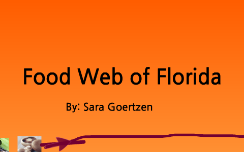 Florida food web by Sara Goertzen on Prezi
