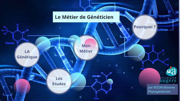 Le métier de généticien by Maxime Bizon on Prezi