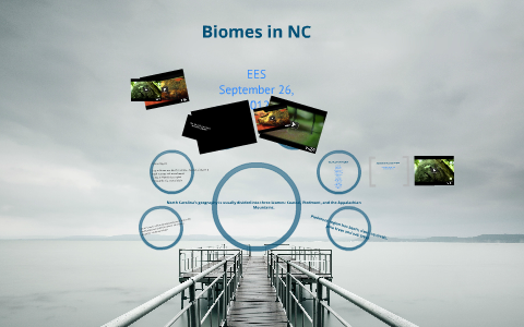 Biomes in NC by Shamir Baldwin on Prezi