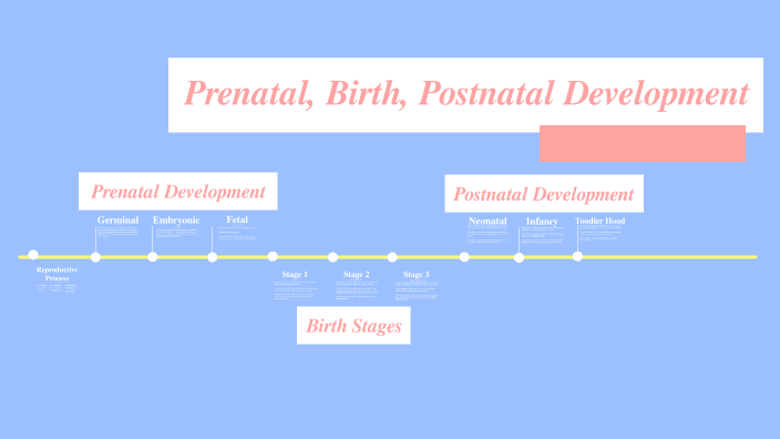 Prenatal, Birth, and Postnatal Development Timeline by Taylor Robinson ...