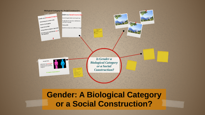 Gender: A Biological Category or a Social Construction ? by Lindsey ...