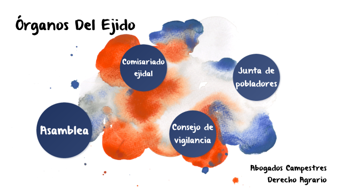 Órganos Del Ejido by danna olivera on Prezi