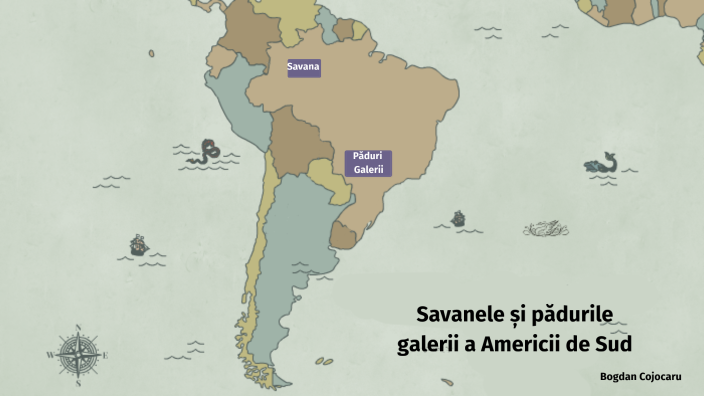 Savanele și Pădurile Galerii a Americii de Sud by Bogdan Cojocaru on Prezi