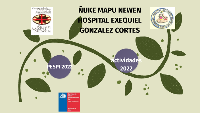 pespi 2022 HEGC by Pablo Tabilo Jara on Prezi