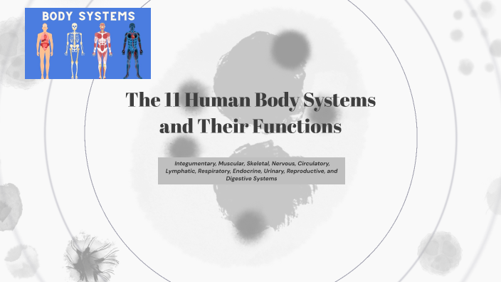 Exploring the 11 Human Body Systems by Sara Reid on Prezi