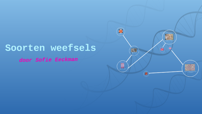 Soorten weefsels by Sofie E. Eeckman on Prezi