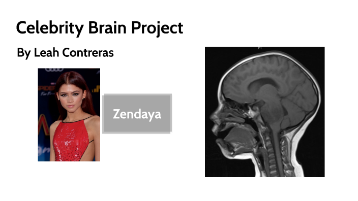 Celebrity Brain Project by Leah Contreras on Prezi