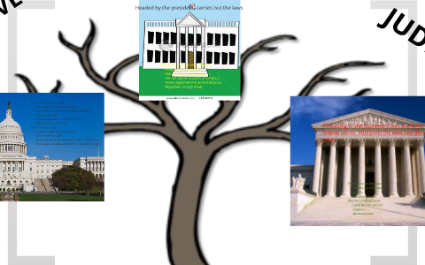 Separation Of Powers by Matt Collington on Prezi