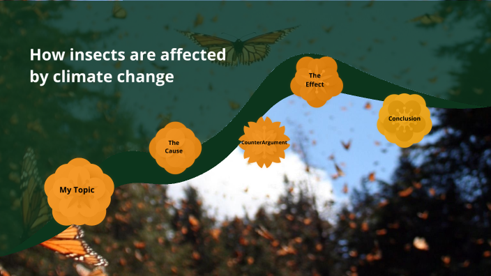 How Insects are affected by Climate Change-Carolina Rivera Venegas by ...