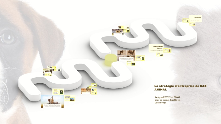 La stratégie d'entreprise de KAZ ANIMAL by Nancy B on Prezi