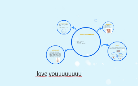 DIGESTIVE SYSTEM by Aaron Reasoner on Prezi