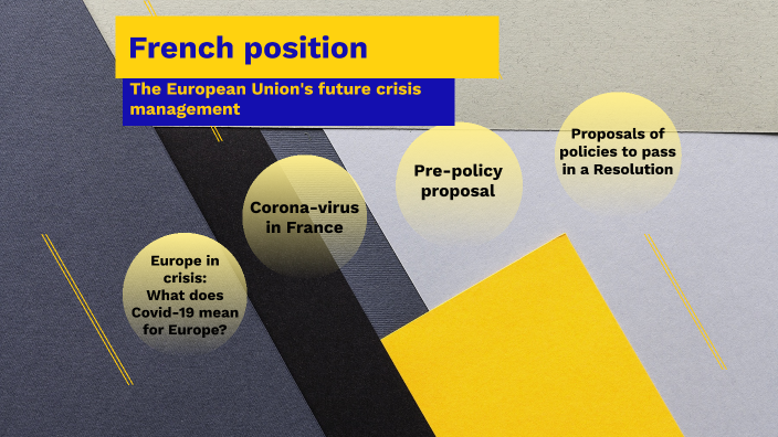 Position Paper: Case of France by Emina Balota on Prezi