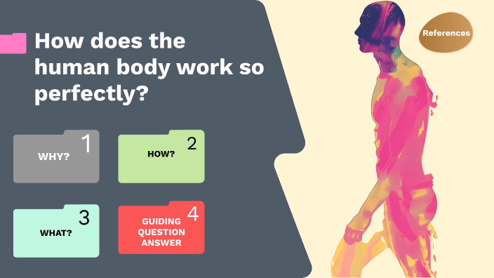 How does the human body work so perfectly? by Daniel Serna Onofre on Prezi