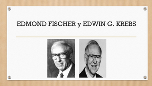 EDMOND FISCHER y EDWIN G.pptx by Raul Castellon on Prezi Design