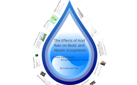 The Effects of Acid Rain on Biotic and Abiotic Ecosystems by Aurora ...