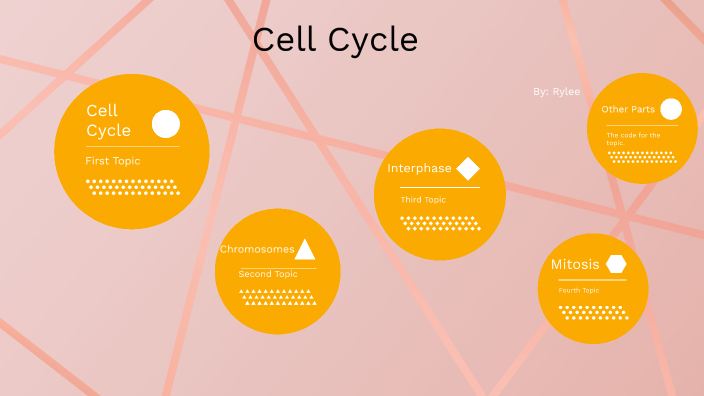 Cell Cycle Project (bio 2022) by Rylee Cassidy on Prezi