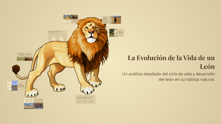 La Evolución de la Vida de un León by Alen Sarmiento on Prezi