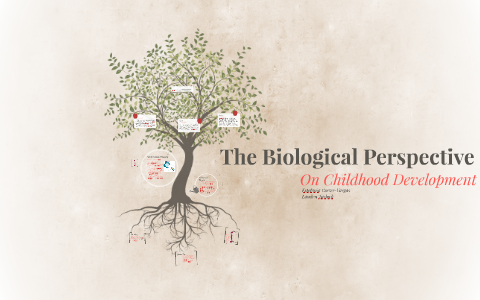 The Biological Perspective On Childhood Development by Estefania Cortes ...