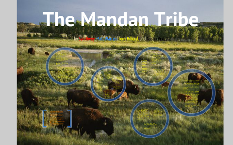 Mandan Indian tribe by Austin Violette on Prezi