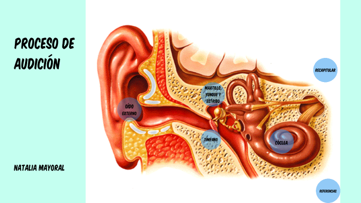 Proceso de audición by natalia mayoral on Prezi