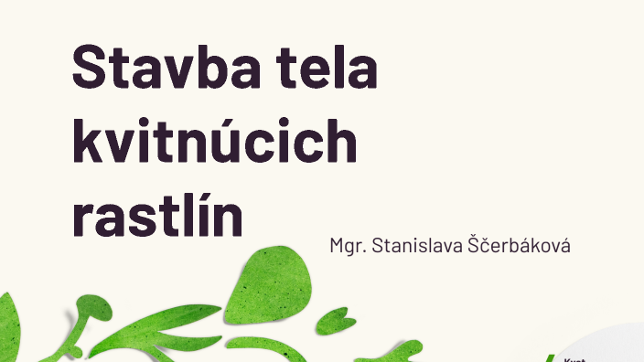 Stavba tela kvitnúcich rastlín by Stanislava Ščerbáková on Prezi