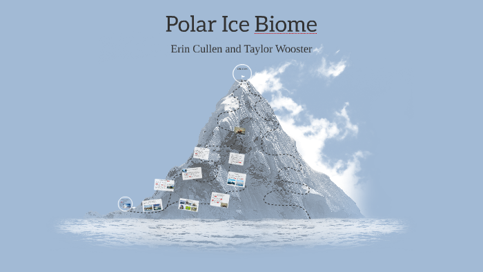 Polar Ice Biome by on Prezi