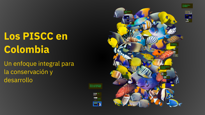 Los PISCC en Colombia by Alfredo Alexander Ávila on Prezi