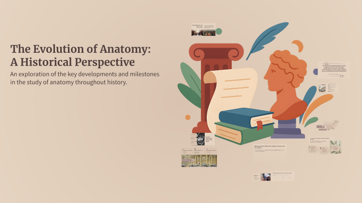 The Evolution of Anatomy: A Historical Perspective by Densil Andrewin ...