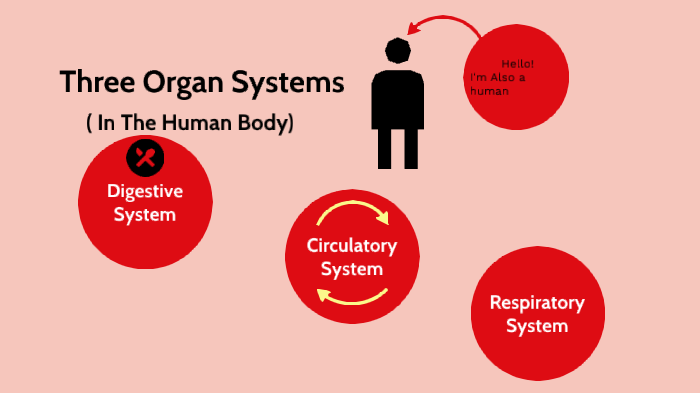 three organ systems by Daniel Heeter (FMIS) on Prezi