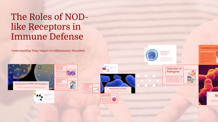 The Roles of NOD-like Receptors in Immune Defense by Borhan kabir on Prezi