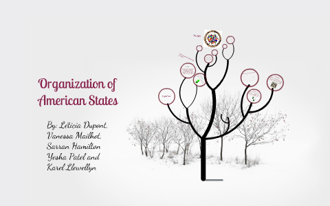 Organization of American States by OAS Contemporary World on Prezi