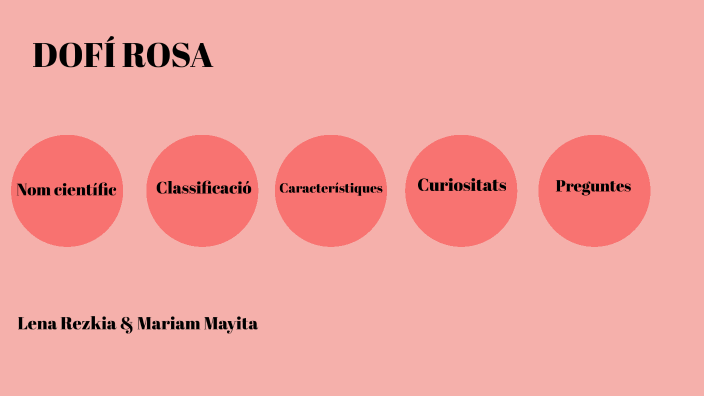 DOFI ROSA mariam mayita i lena rezkia by Lena Rezkia Abderrahim Saidani on Prezi