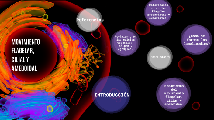 MOVIMIENTO FLAGELAR by Dayana Reyes Lezama on Prezi
