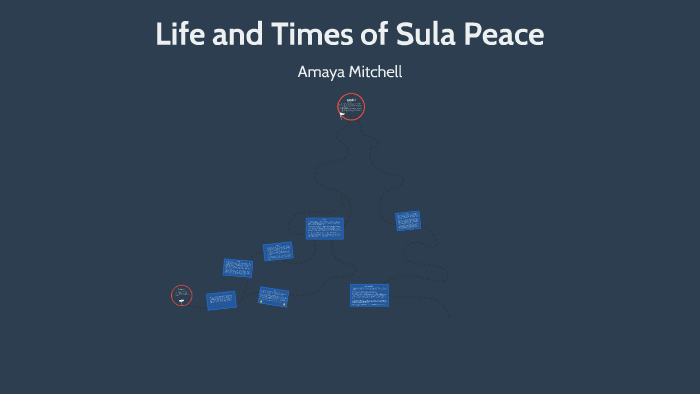 Life and Times of Sula Peace by amaya mitchell on Prezi