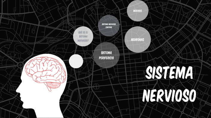 sistema nervioso by VALENTINA SEGOVIA on Prezi