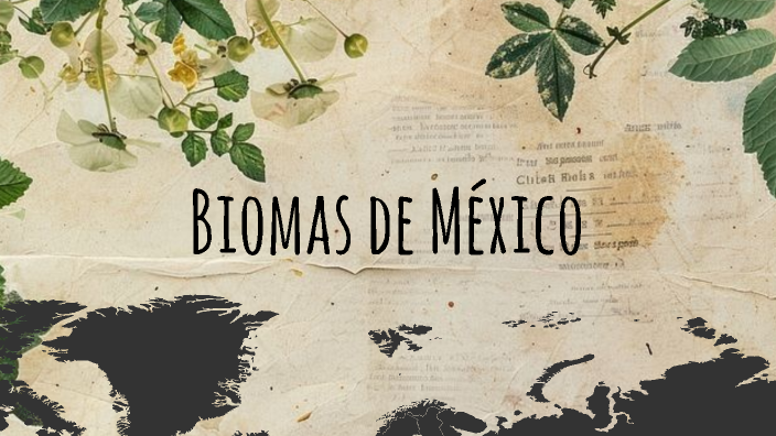 Biomas de México by megan juárez on Prezi