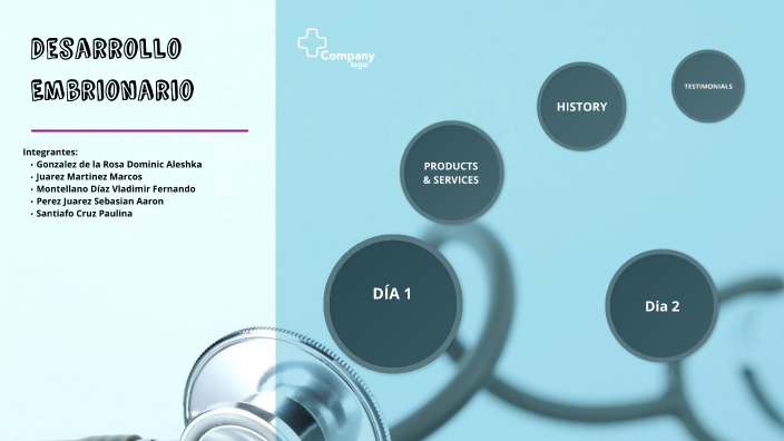 Desarrollo Embrionario by dominic delarosa on Prezi