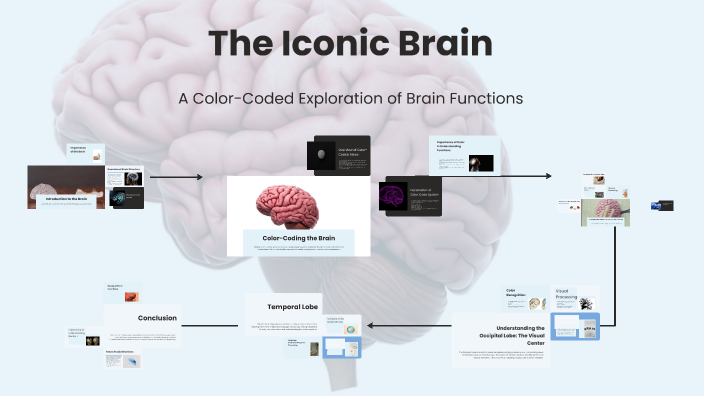 The Iconic Brain by Marcela Peña on Prezi