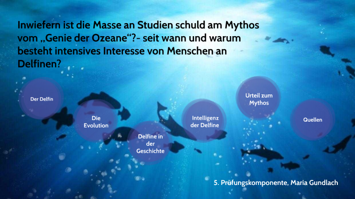 5PK Delfine by Maria Gundlach on Prezi