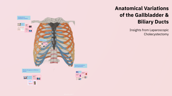 Anatomical Variations of the Gallbladder & Biliary Ducts by Omar ...