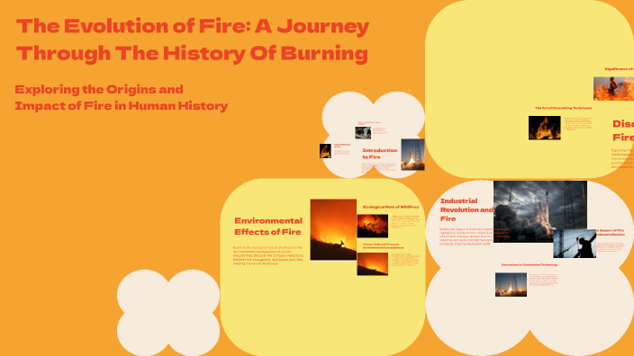 The Evolution of Fire: A Journey Through The History Of Burning by ...