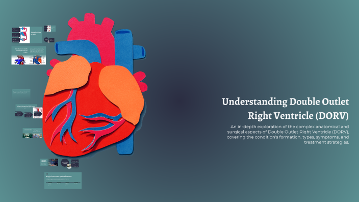 Understanding Double Outlet Right Ventricle (DORV) by Tanvee Panchal on ...