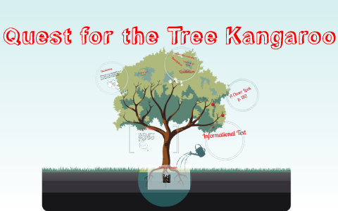 Quest for the Tree Kangaroo by Mandy Gregory on Prezi