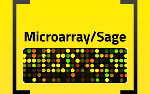 Microarray/Sage by Carlos Ferreira on Prezi