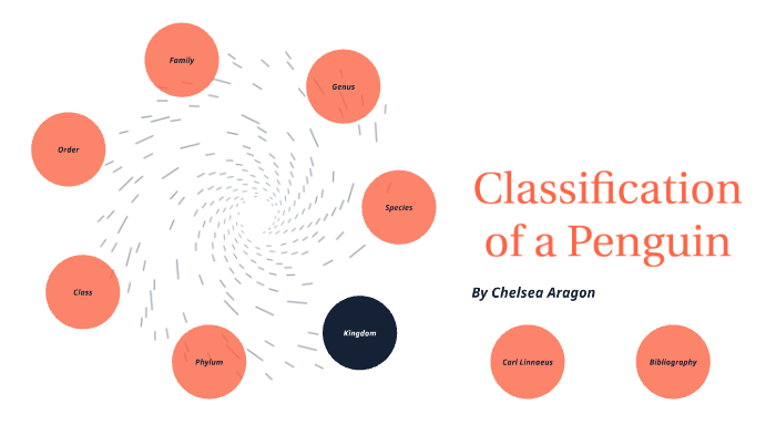 Classification System of the Penguin by Chelsea Aragon on Prezi