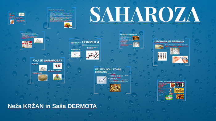 SAHAROZA by Neža Kržan on Prezi